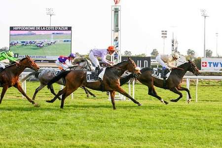 Quinté de demain - Course PMU : Partants , Pronostics , Stats